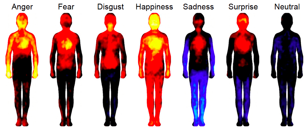 Emotion Maps: How Emotions Change in the Body | Science of People