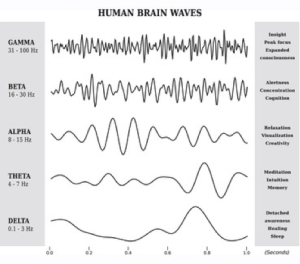 The 4 Stages of Sleep & What Science Says About Sleep Positions