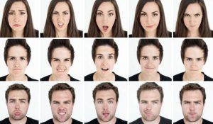 The Ultimate Guide to Body Language | Science of People