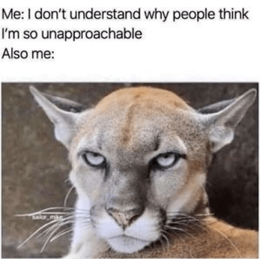 How to Be More Approachable: 15 Pro Tips You’re Not Using