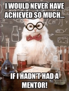 How to Find a Mentor (& Everything You Need to Know!)